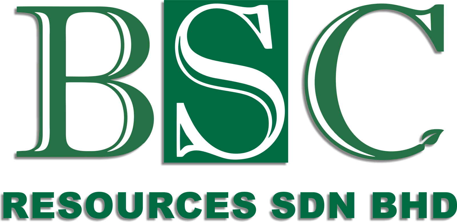 Tower Construction Sarawak | BSC Resources Sdn Bhd